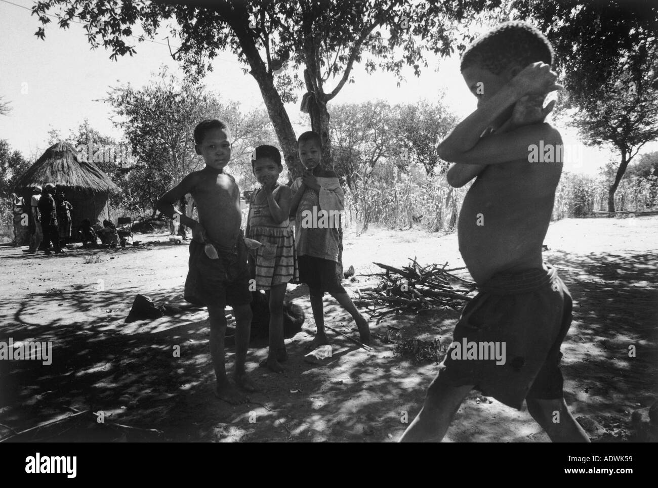 The Ju hoansi San Bushman live in their traditonal ancestral villages ...
