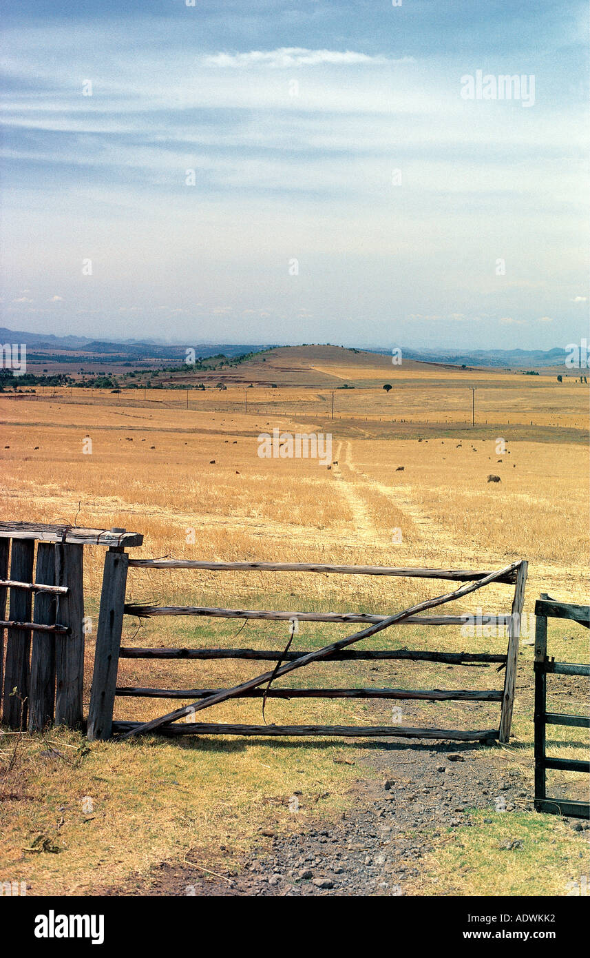 Five Barred Gate High Resolution Stock Photography and Images - Alamy