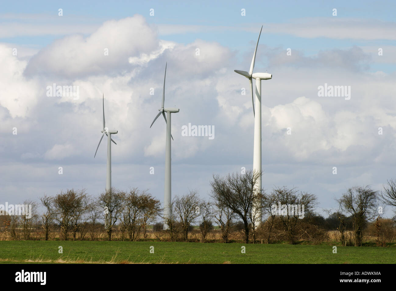 Typical north german landscape near Varel Stock Photo - Alamy