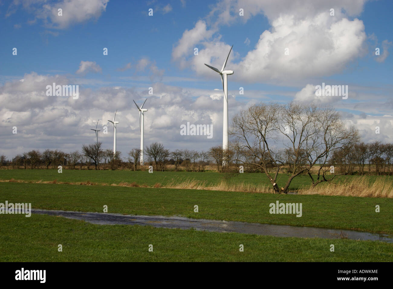 Typical north german landscape near Varel Stock Photo - Alamy