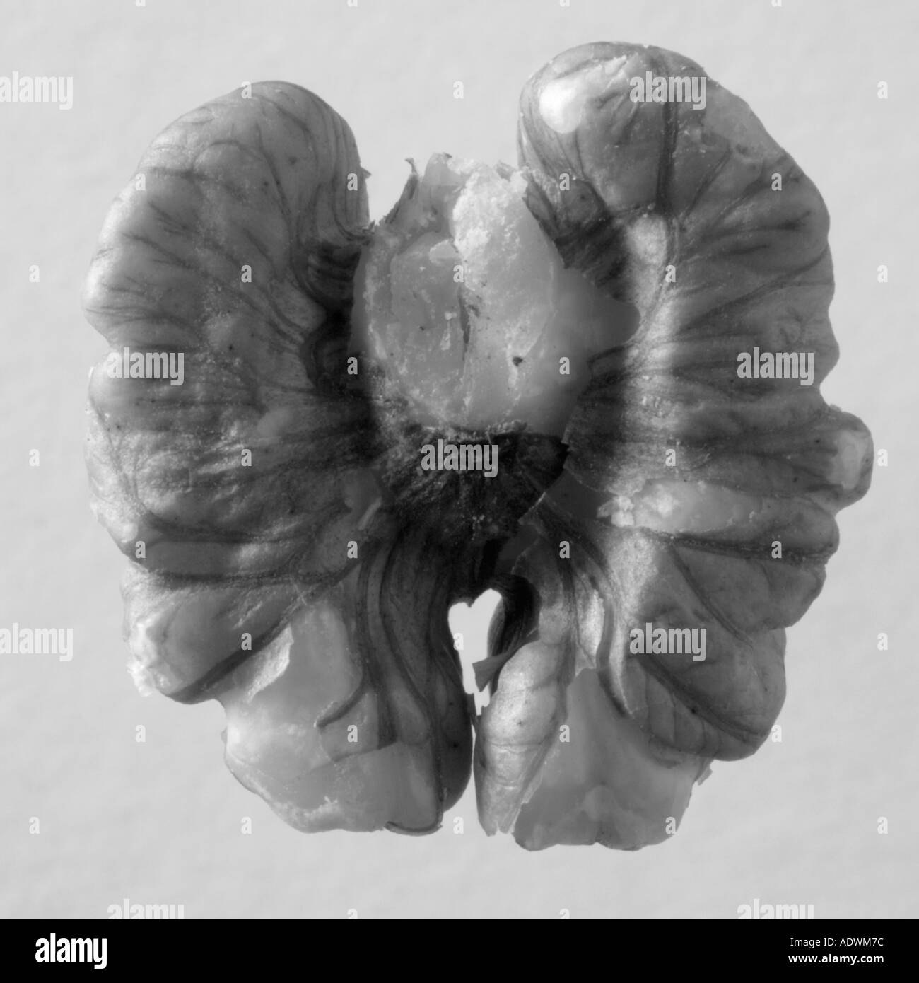 Ground eye view Black and White Stock Photos & Images - Alamy