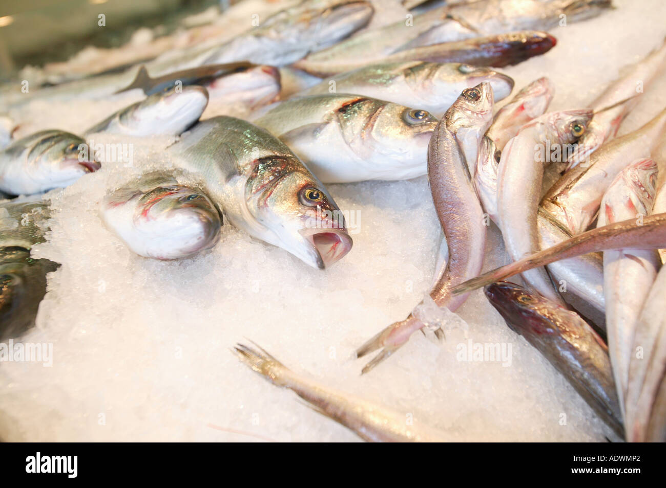 Fish market food hi-res stock photography and images - Alamy