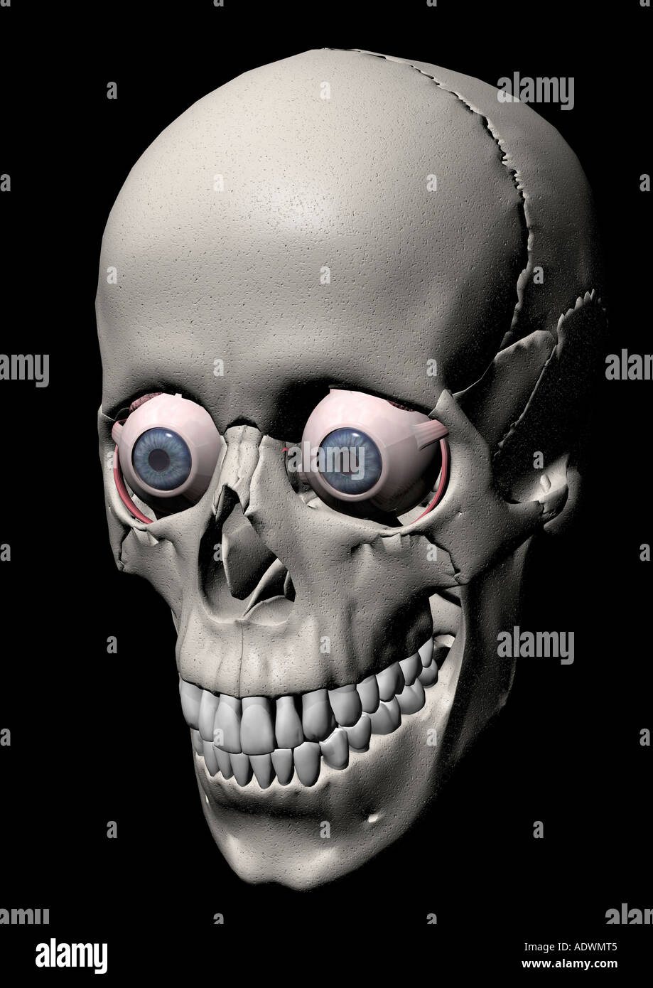 Atlas of the human body hi-res stock photography and images - Alamy