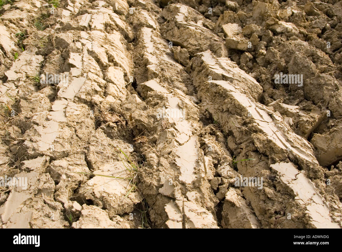 Churned earth hi-res stock photography and images - Alamy