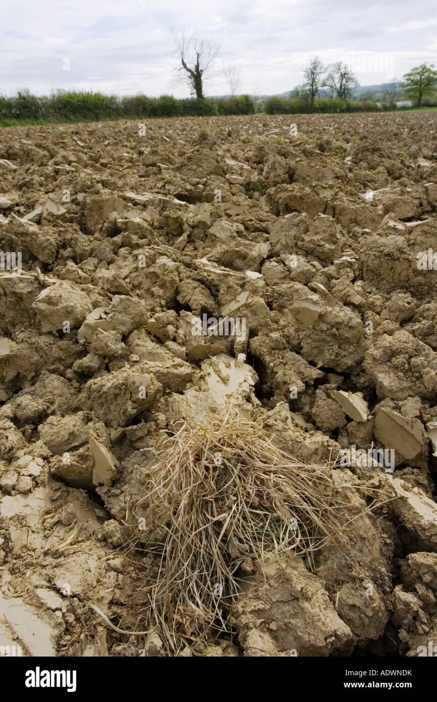 Earth of ploughed field Wyck Rissington Gloucestershire United Kingdom ...