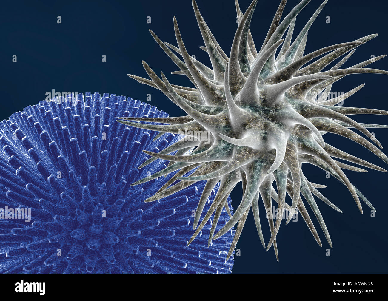 Micro Biotech II Stock Photo - Alamy