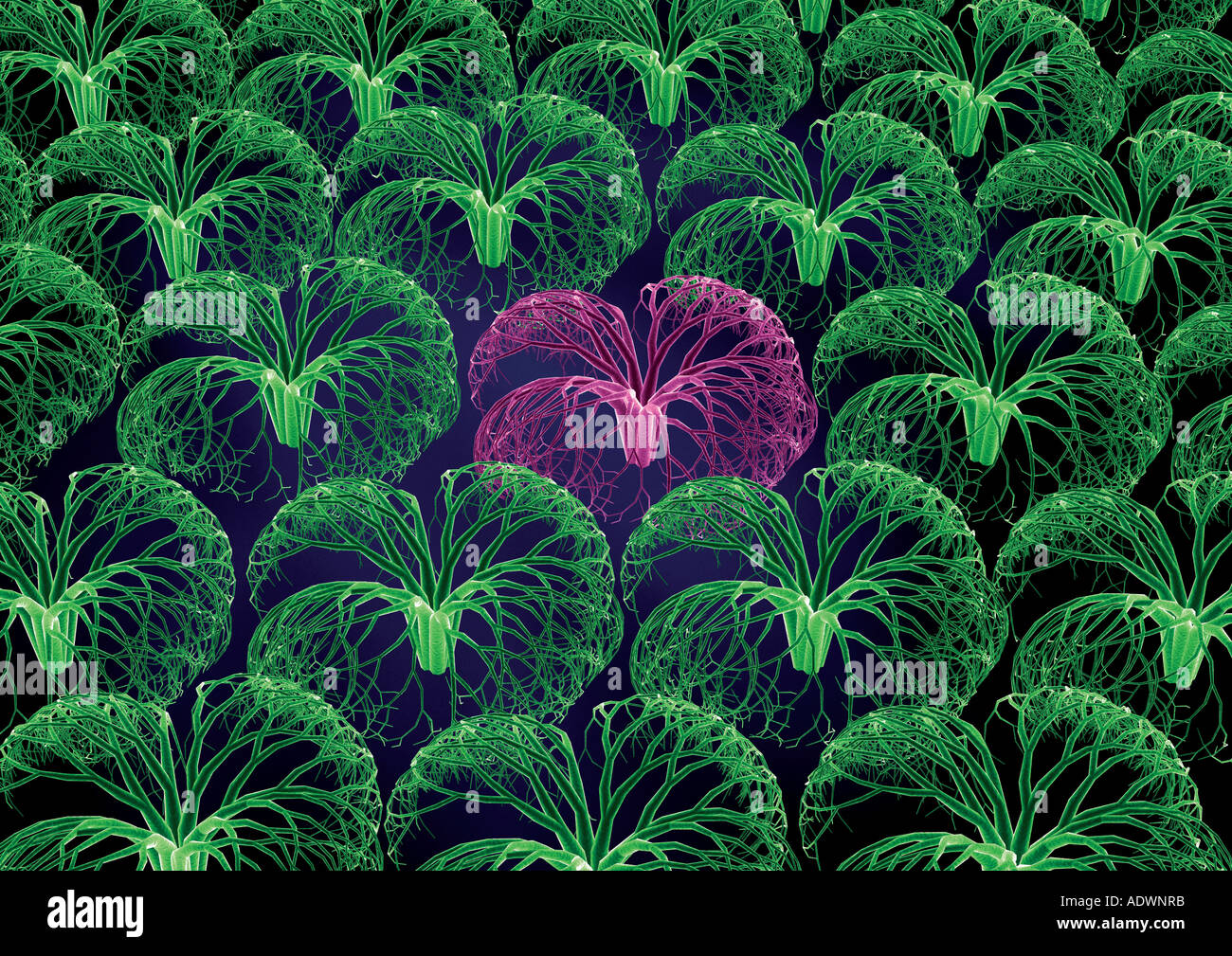 Micro Biotech II Stock Photo - Alamy