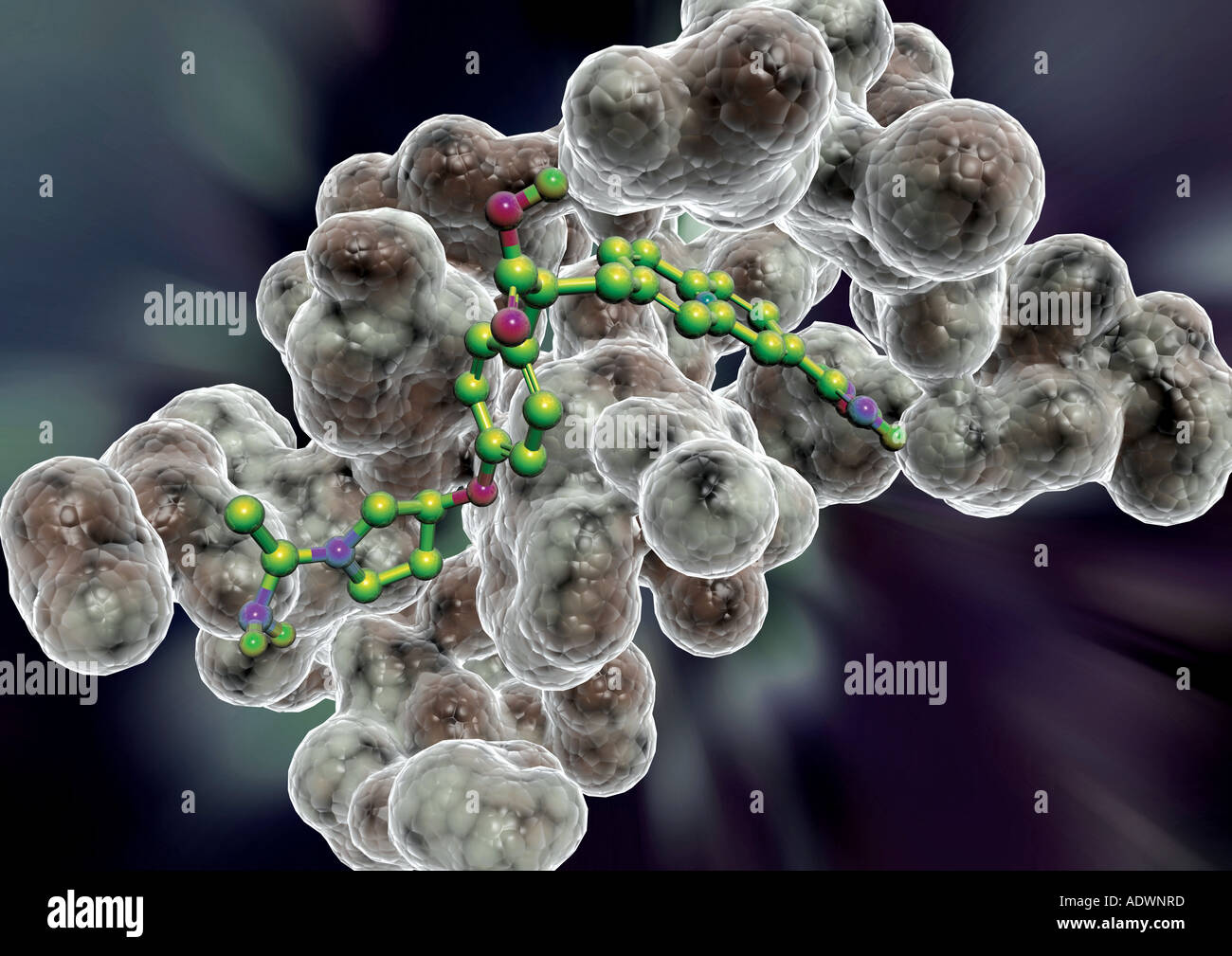 Micro Biotech II Stock Photo - Alamy