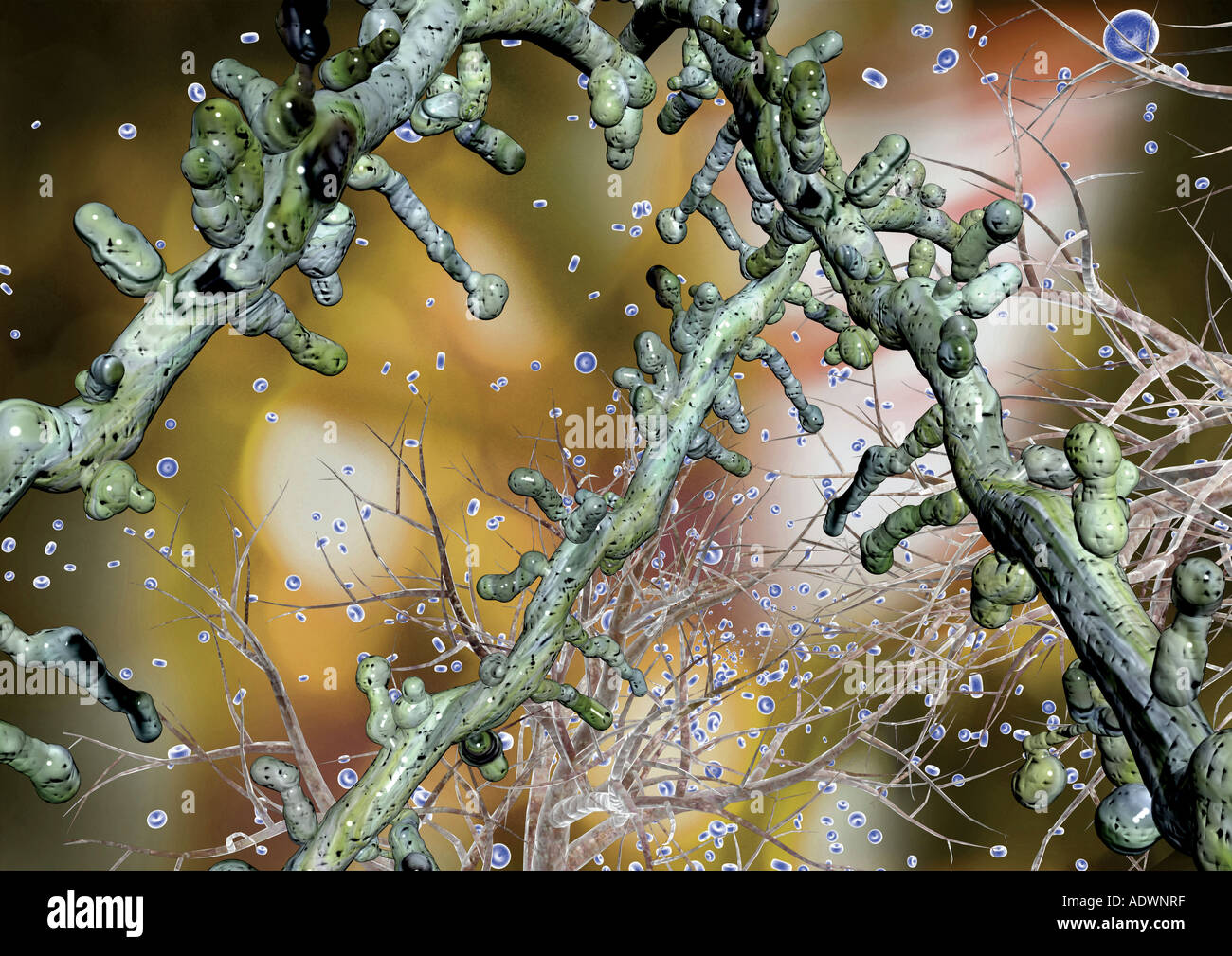 Micro Biotech II Stock Photo - Alamy