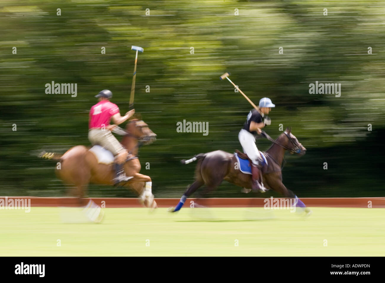 Polo match in Hampshire England United Kingdom Stock Photo - Alamy