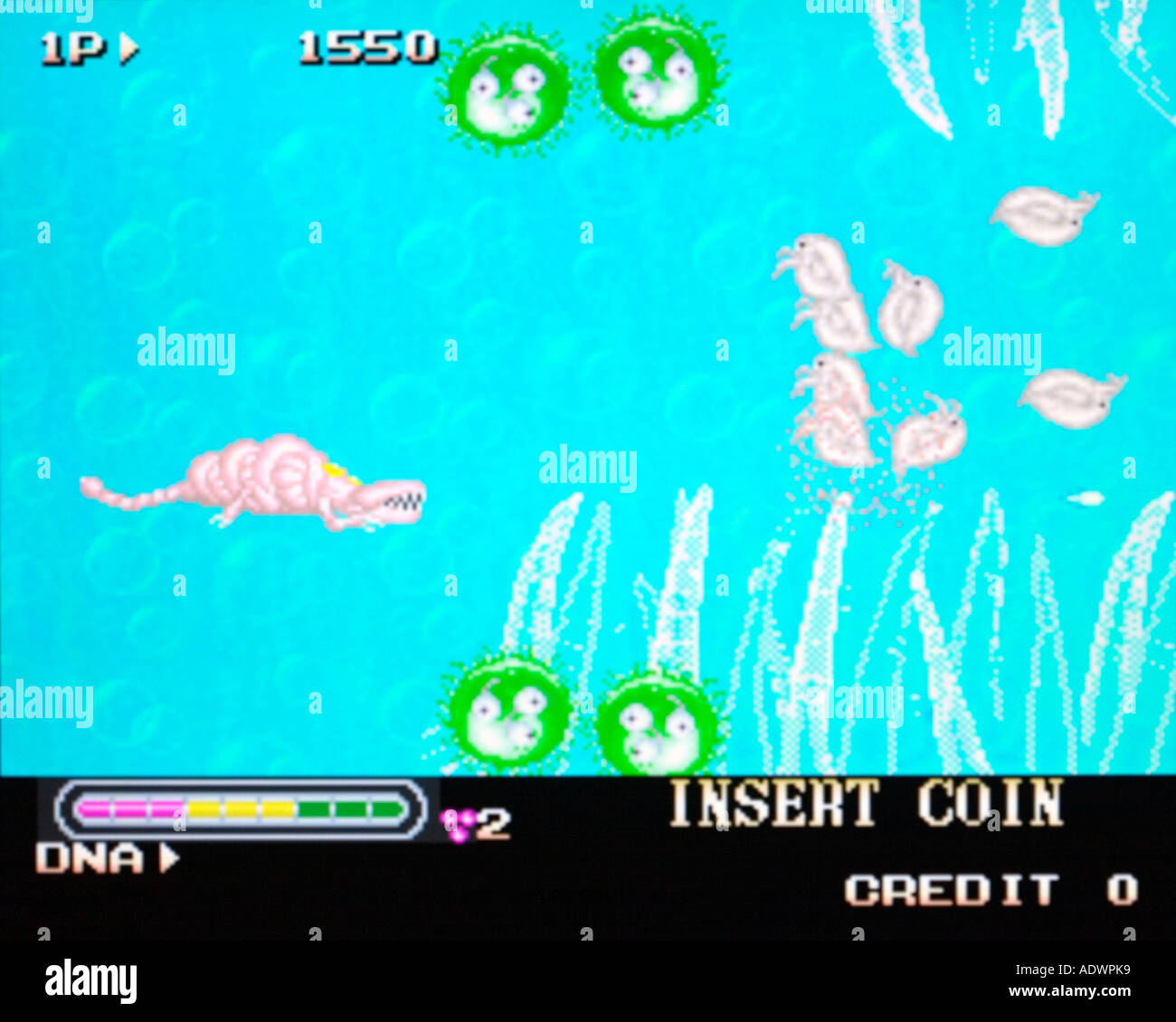 Chimera Beast Jaleco 1993 vintage arcade videogame screenshot ...
