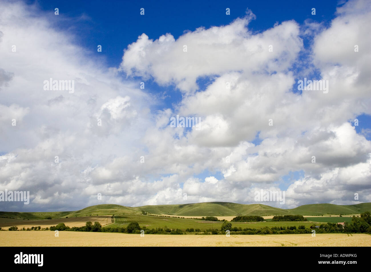Typical wiltshire landscape scene in hi-res stock photography and ...