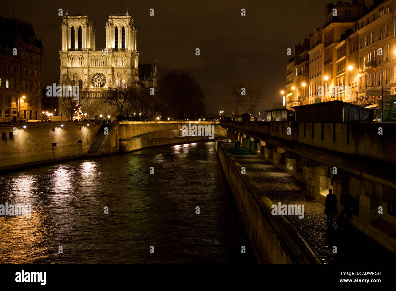 Cathedral Notre Dame de Paris at night on ële de la Cit by the river ...