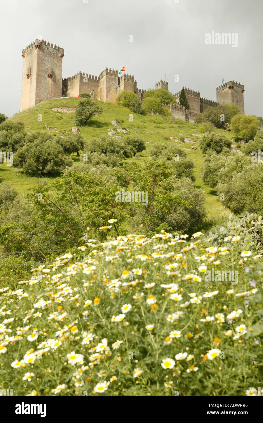 Almodovar del Rio Castle in Cordoba Stock Photo - Alamy