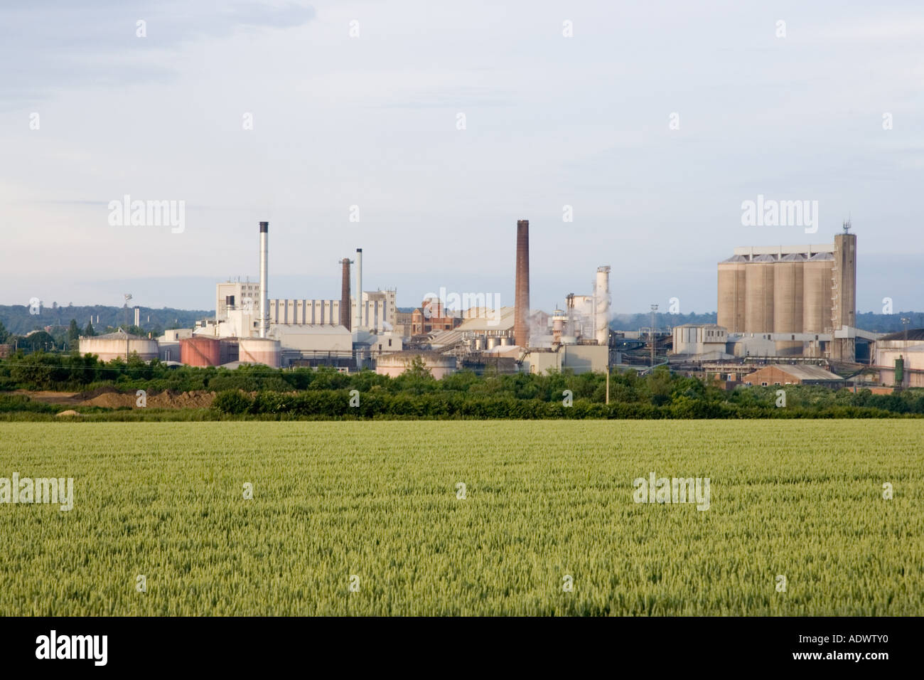 The sugar beet processing factory at Bury St Edmunds in Suffolk, UK ...