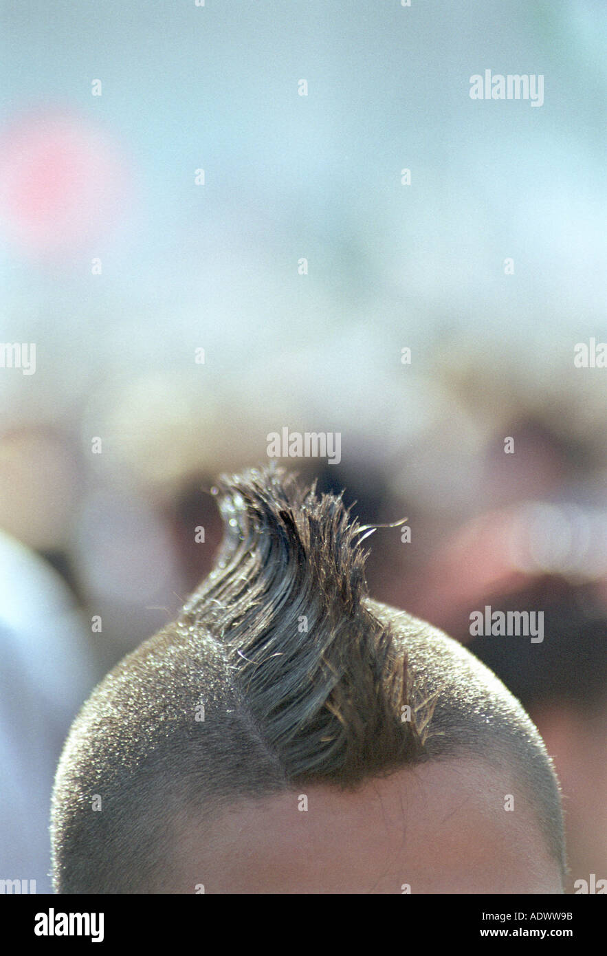 Mohican cut hi-res stock photography and images - Alamy