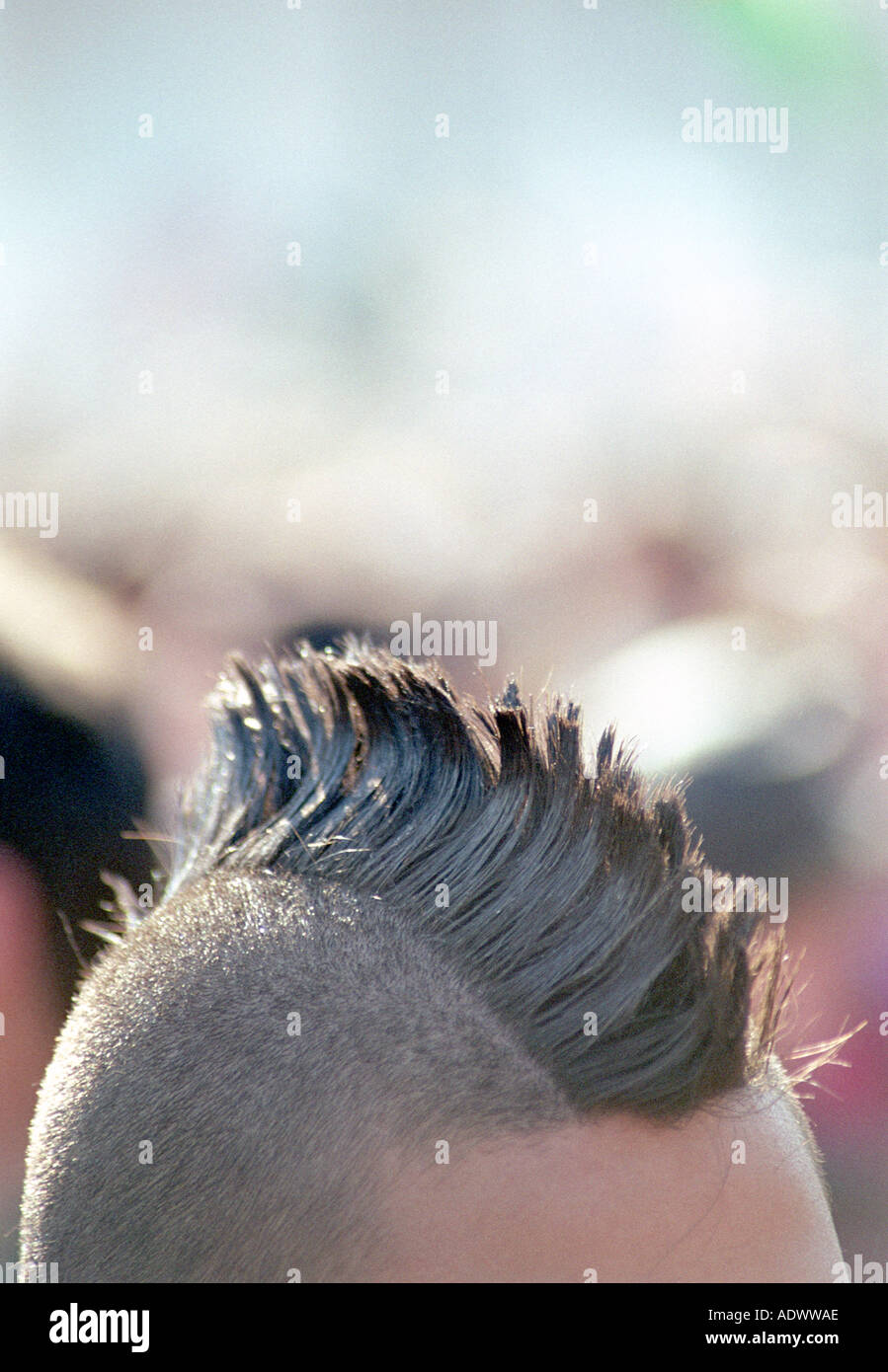 detail of teenage man with mohican haircut Stock Photo - Alamy