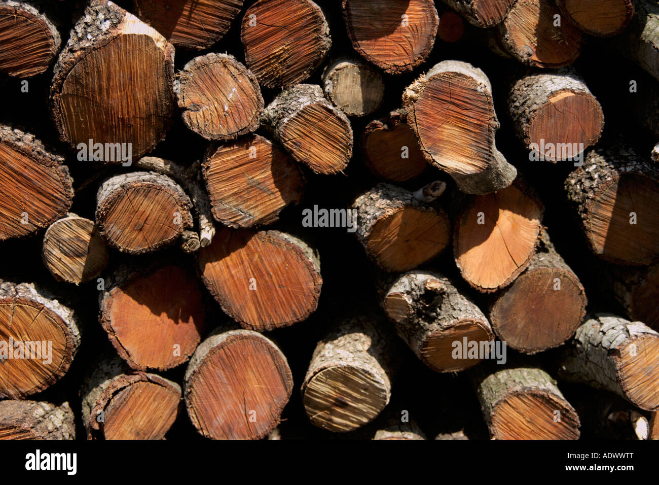 Sawn timber stacked for the winter Stock Photo - Alamy