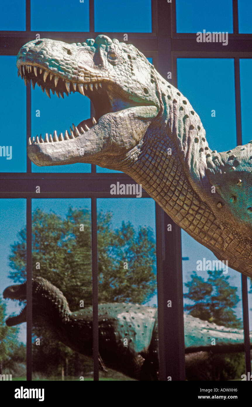 Tyrannosaurus rex Museum of Natural History Old Town Albuquerque New ...