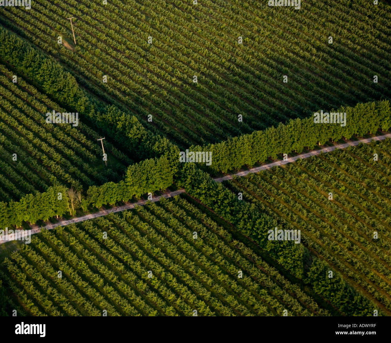 Flight along path in fields hi-res stock photography and images - Alamy
