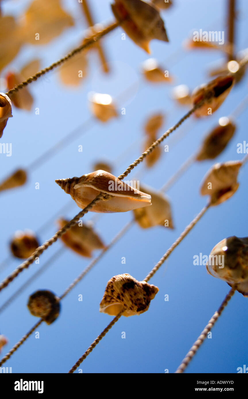 Shell mobiles for sale on stall on the sea front at Cascais, near ...