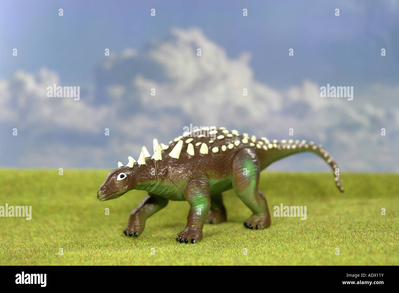 Ankylosaurus hi-res stock photography and images - Alamy