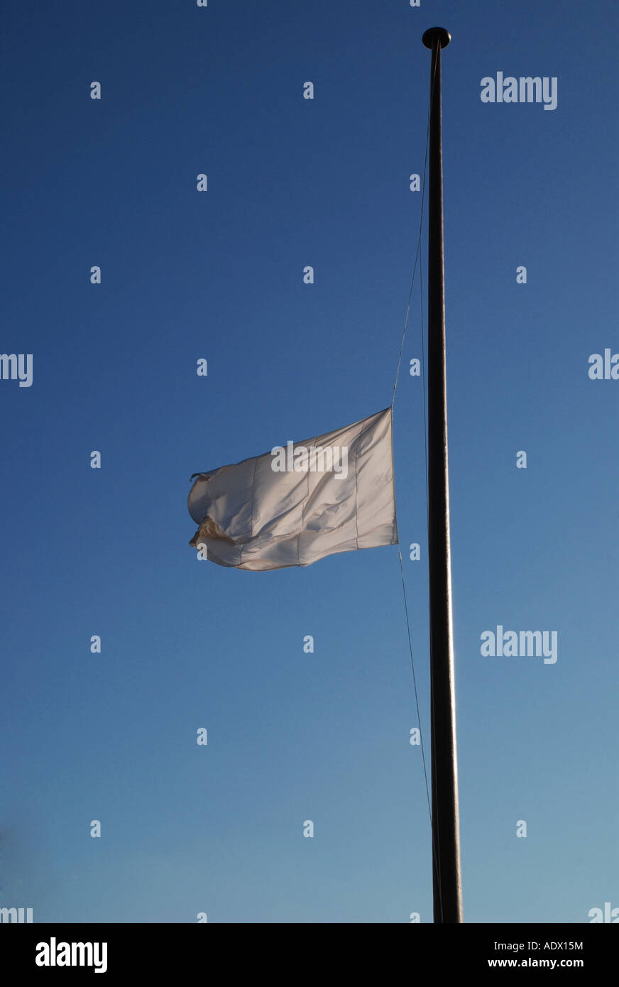 Plain white flag Stock Photo - Alamy