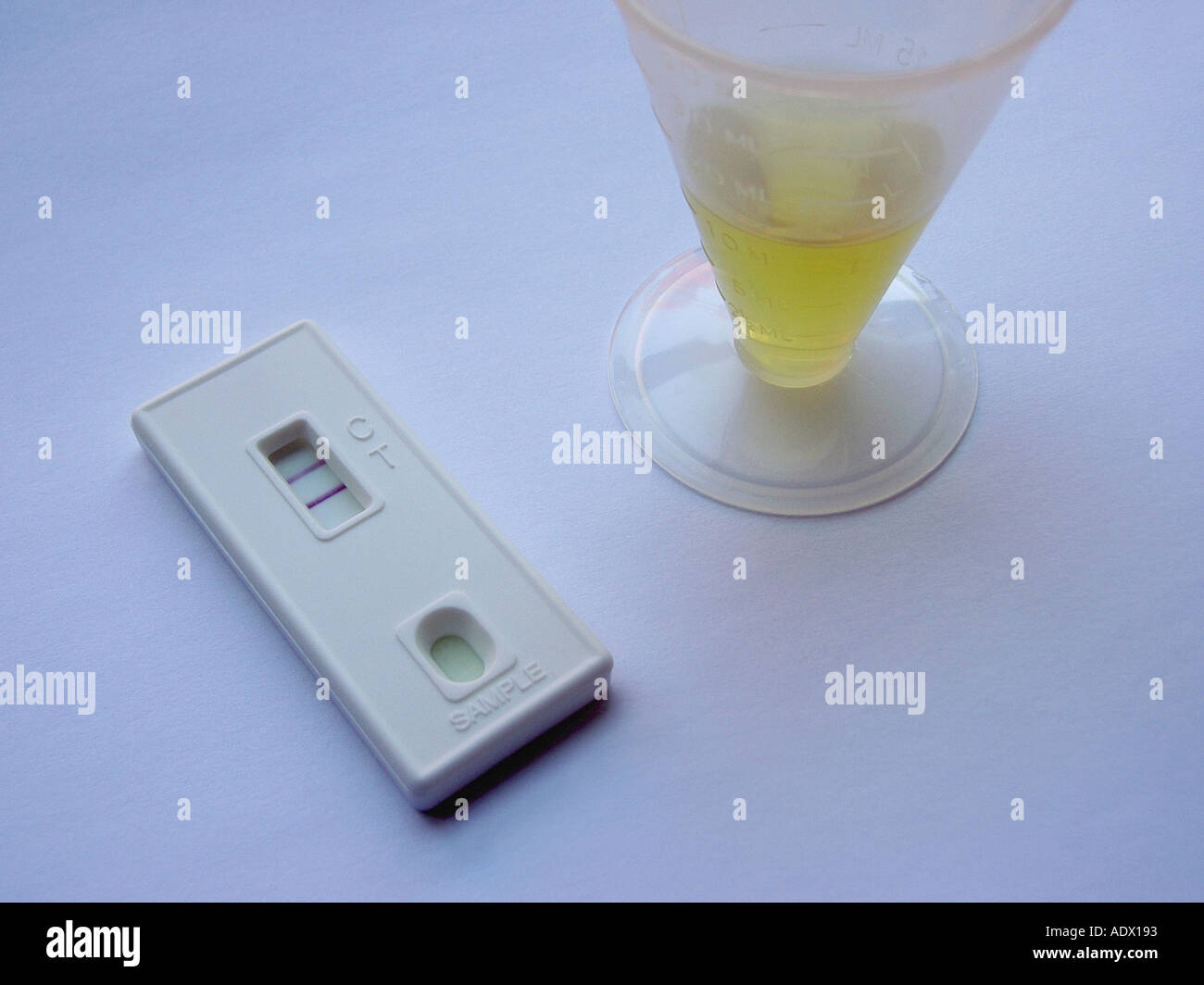 Ovulation test with positive result Stock Photo - Alamy