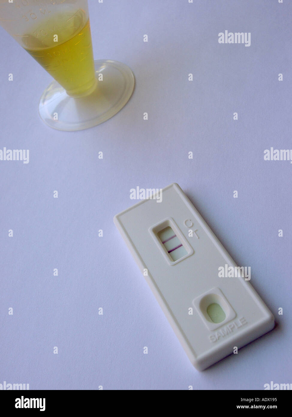Ovulation test with positive result Stock Photo - Alamy