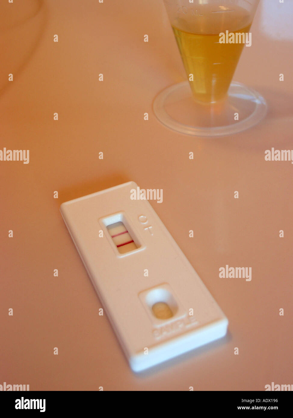 Ovulation test with positive result Stock Photo - Alamy