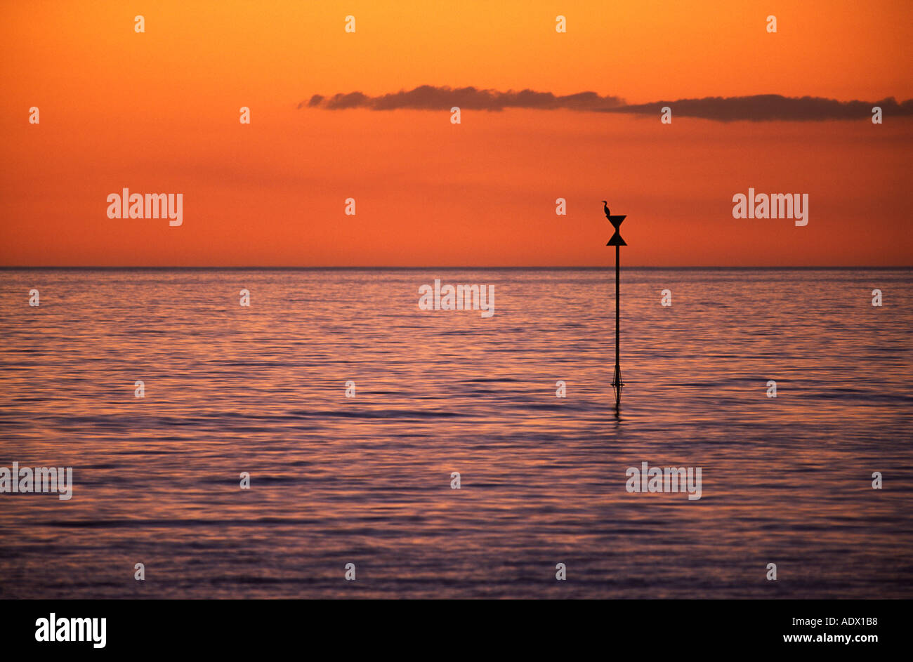 Golden afterglow over sea with bird sitting on a sign post Stock Photo ...