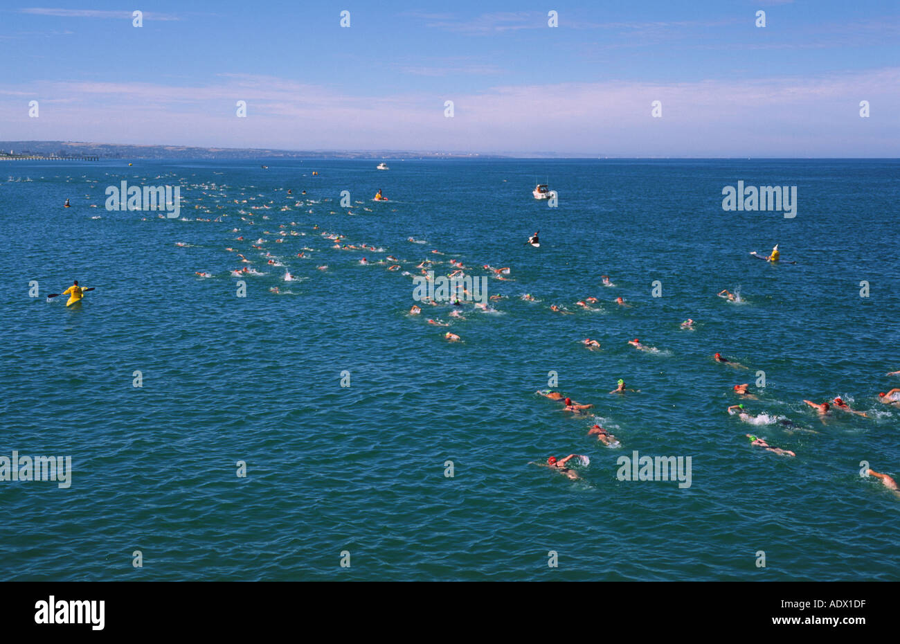 Swim competition in the sea Annual masters open water race Grange to ...