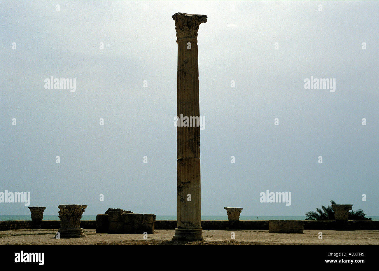 Carthage roman ruins Stock Photo - Alamy