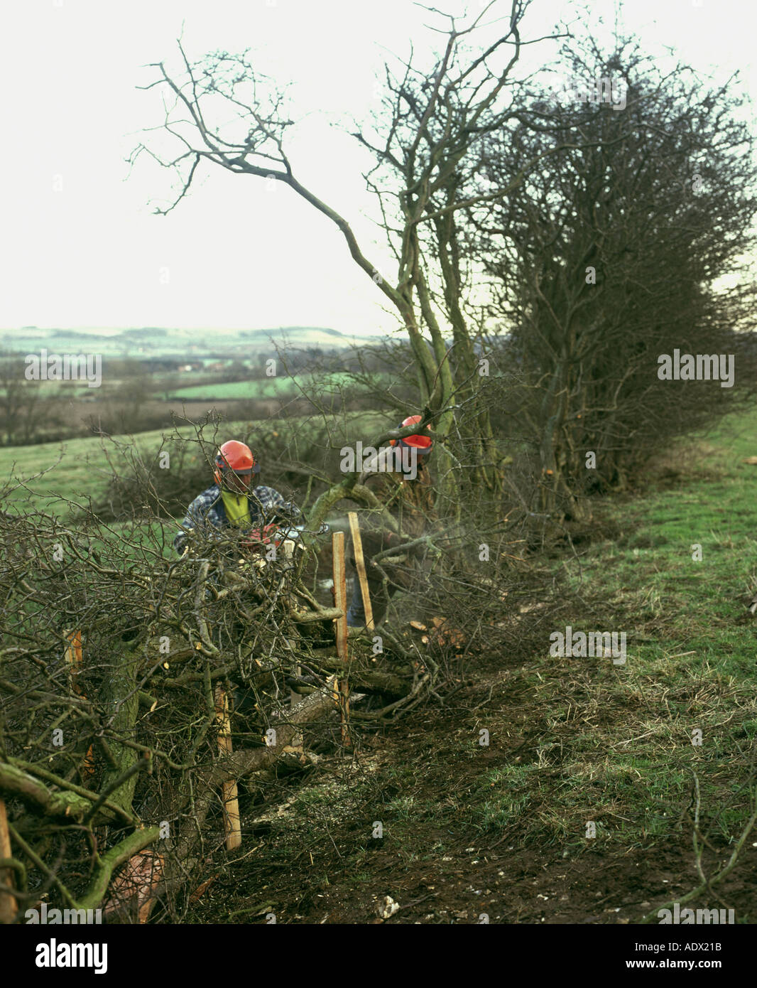 Lincolnshire farming workers hi-res stock photography and images - Alamy
