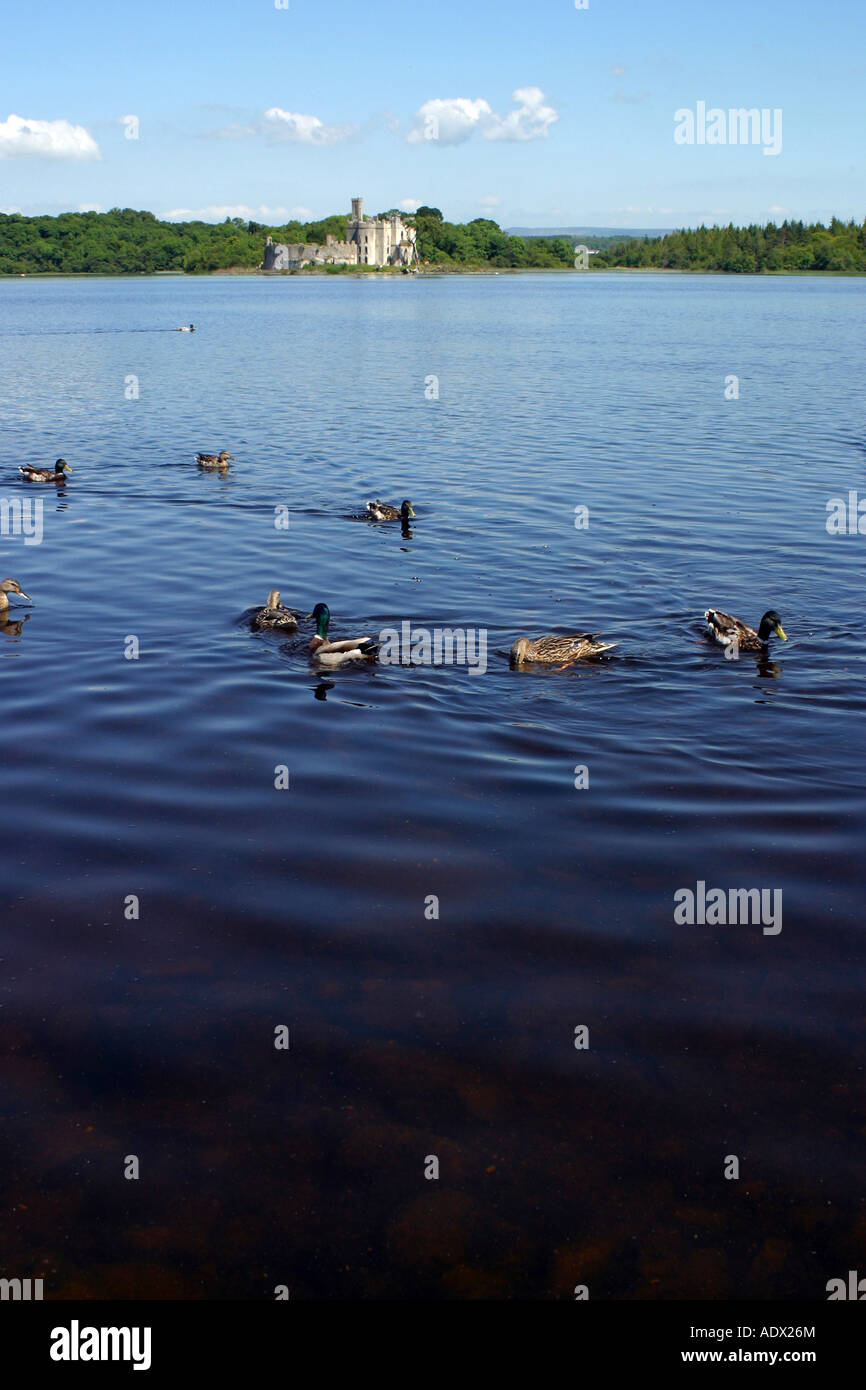 Lough Key forest park Ireland Stock Photo - Alamy