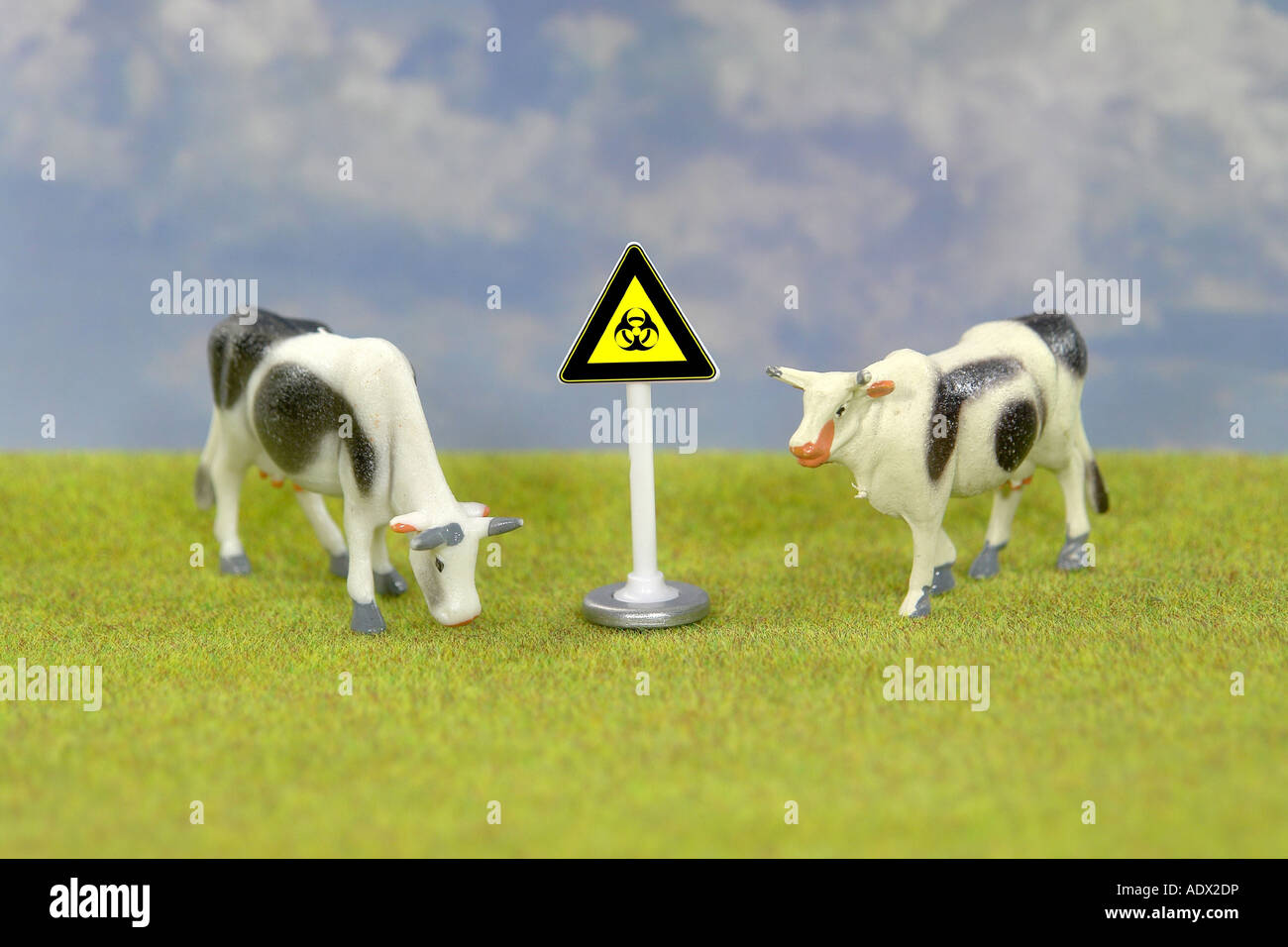 symbolic image for epidemic plague at cattle Stock Photo - Alamy