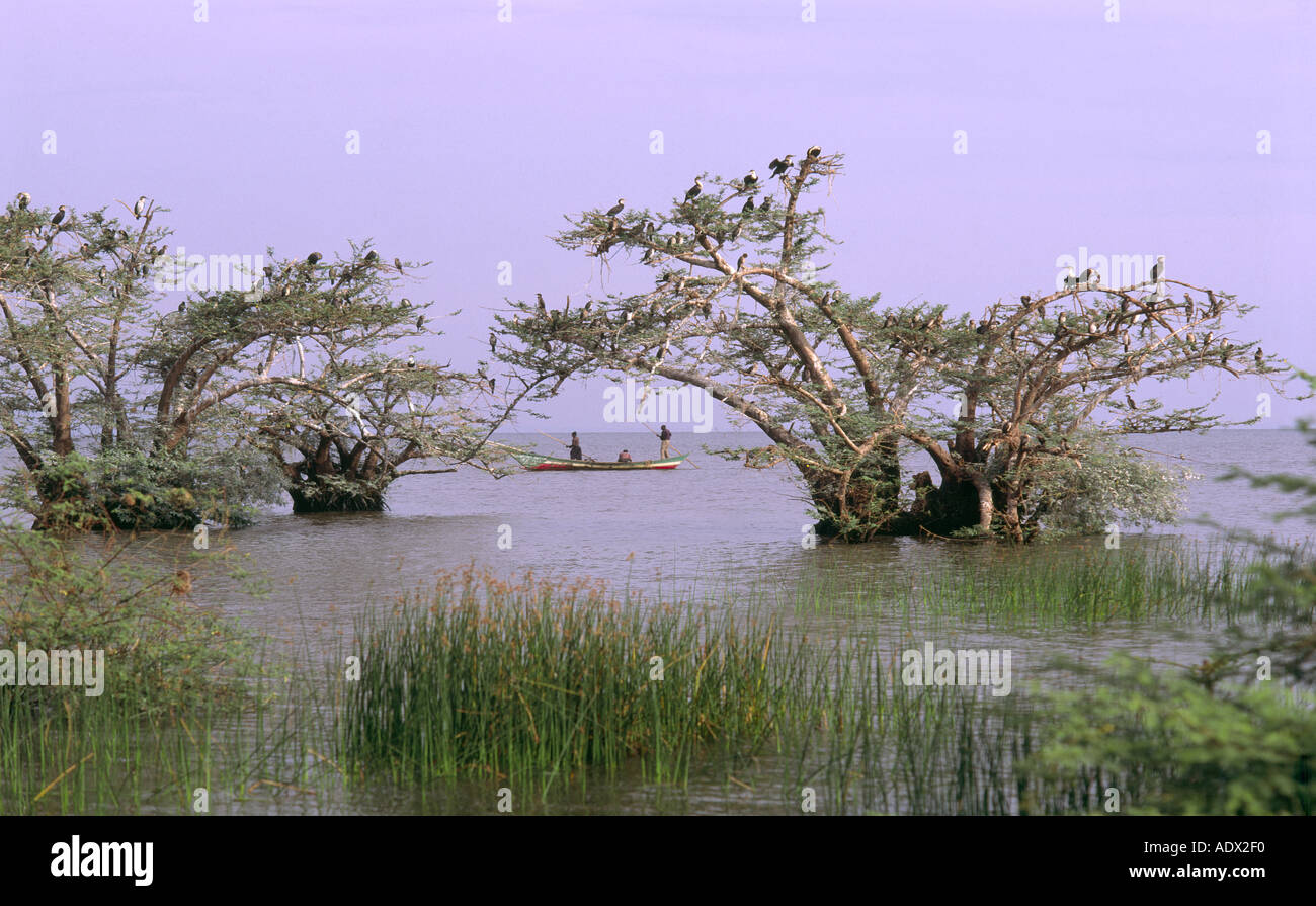 Kenya fishing on Lake Victoria Stock Photo - Alamy