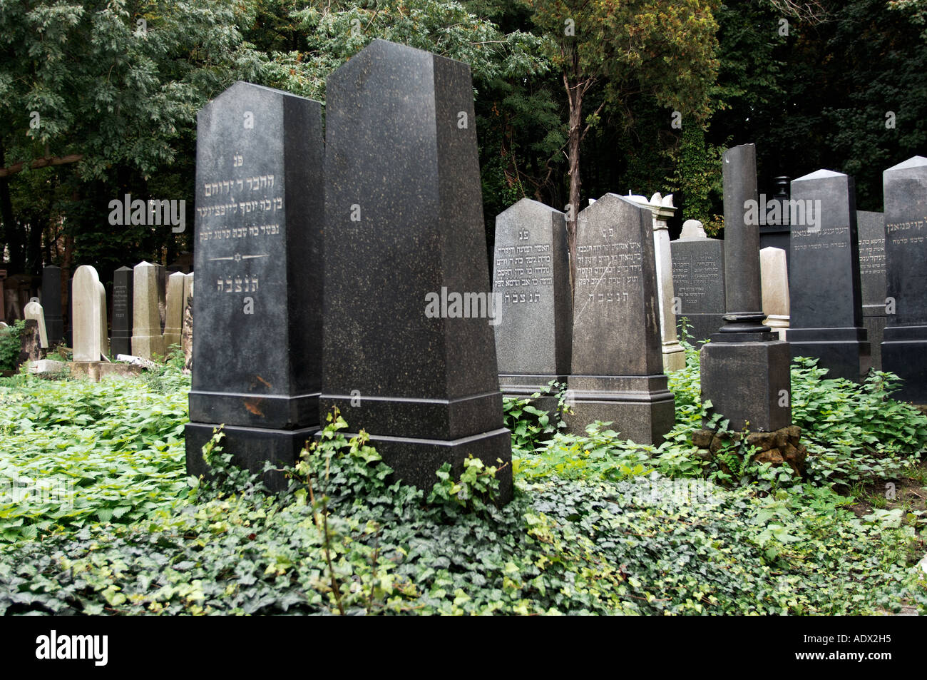Berlin cemeteries hi-res stock photography and images - Alamy