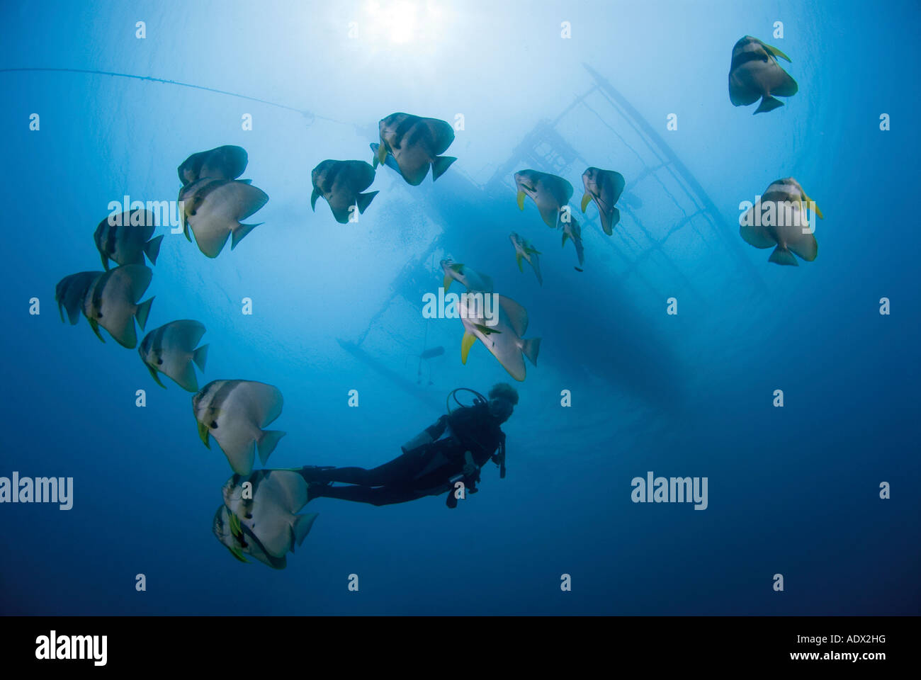 Pacific philippines hi-res stock photography and images - Alamy