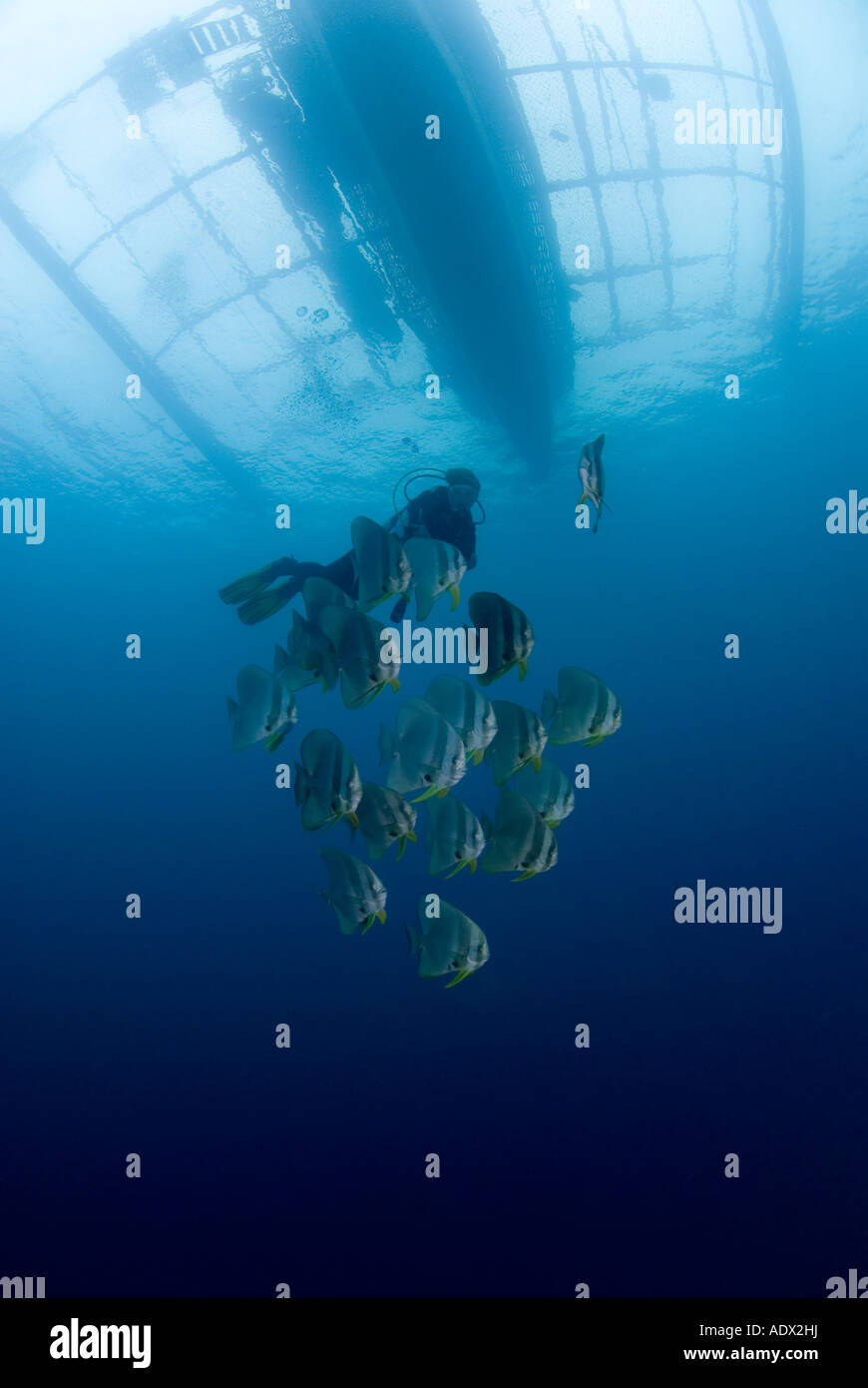 Pacific philippines hi-res stock photography and images - Alamy