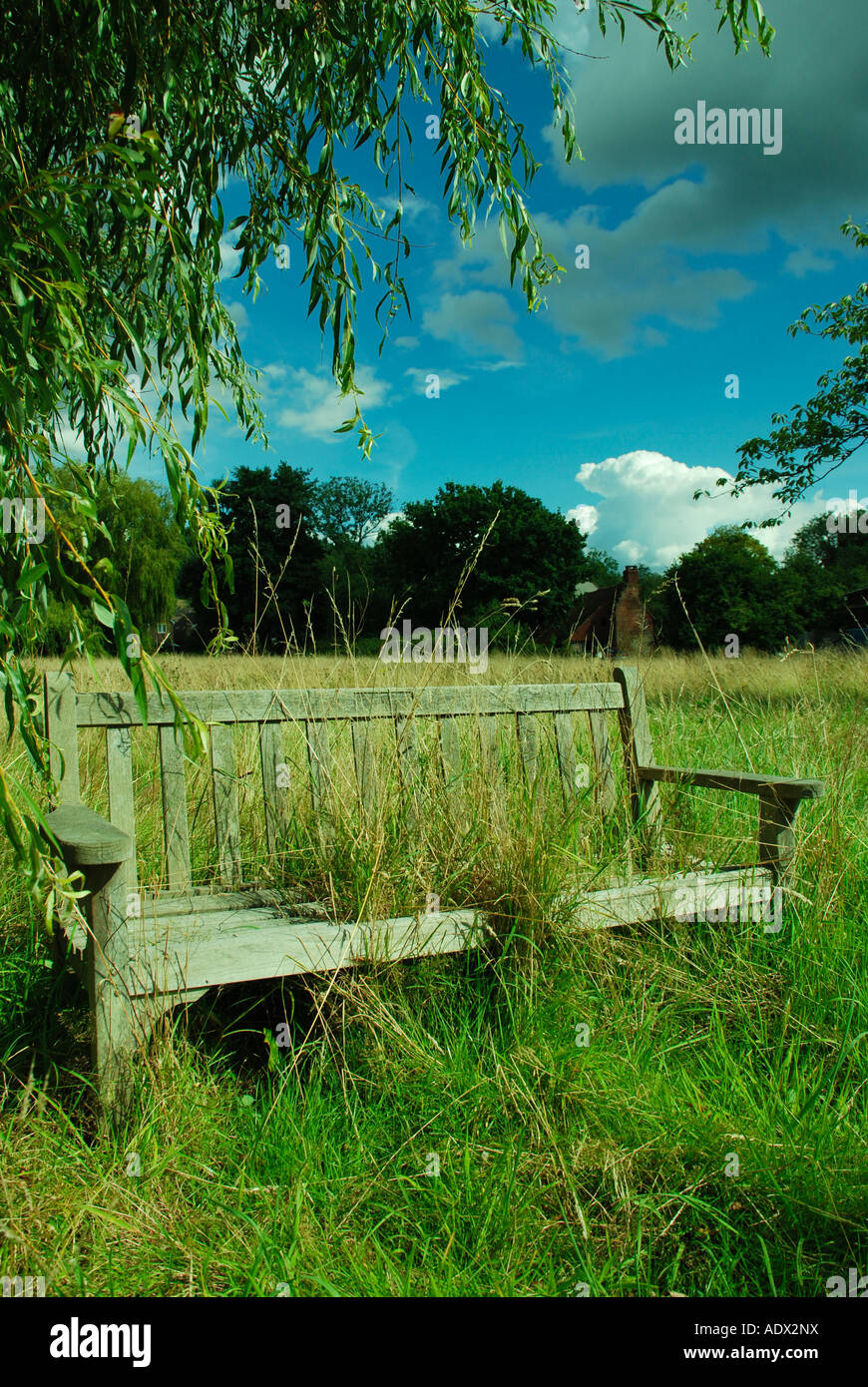 A public bench- growing old Stock Photo - Alamy