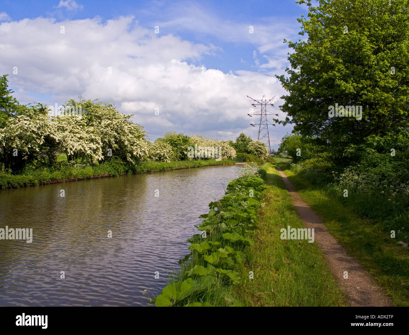 Electricity pylons in midlands england hi-res stock photography and ...