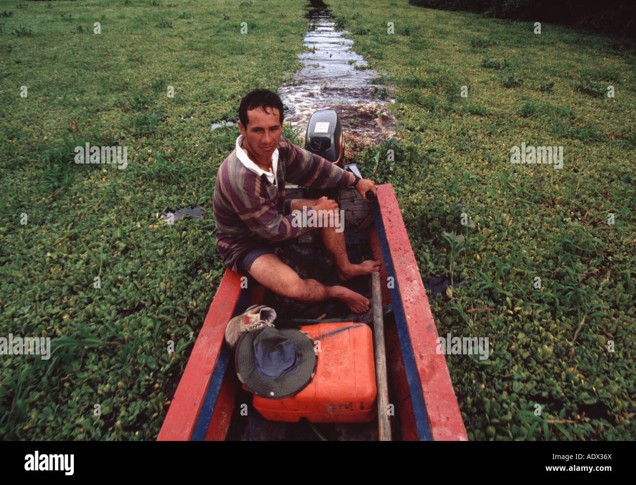 Boat ride - Amazon basin, Beni BOLIVIA Stock Photo - Alamy