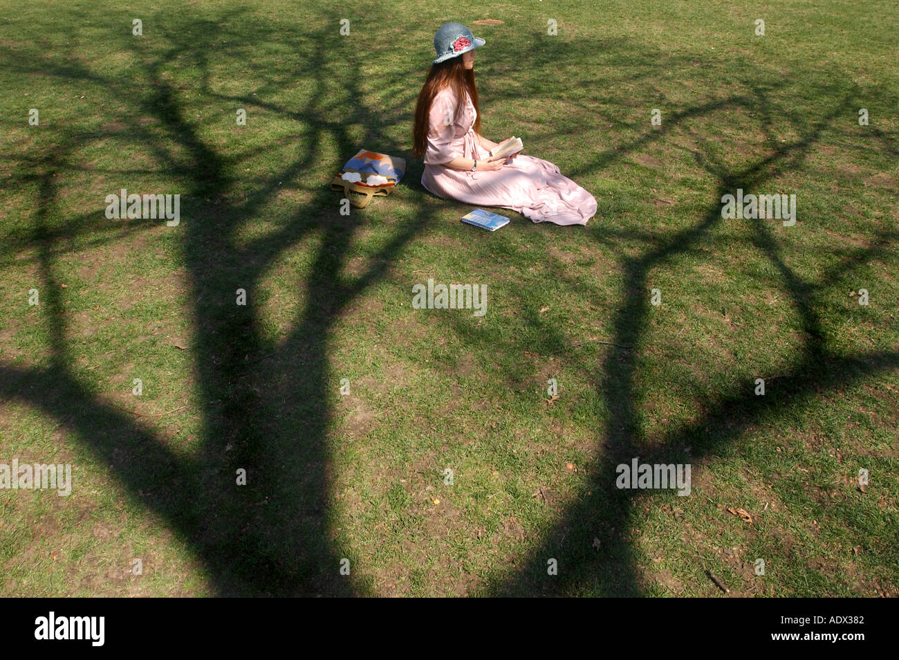 Woman reading book on a lawn with tree shadows Stock Photo - Alamy