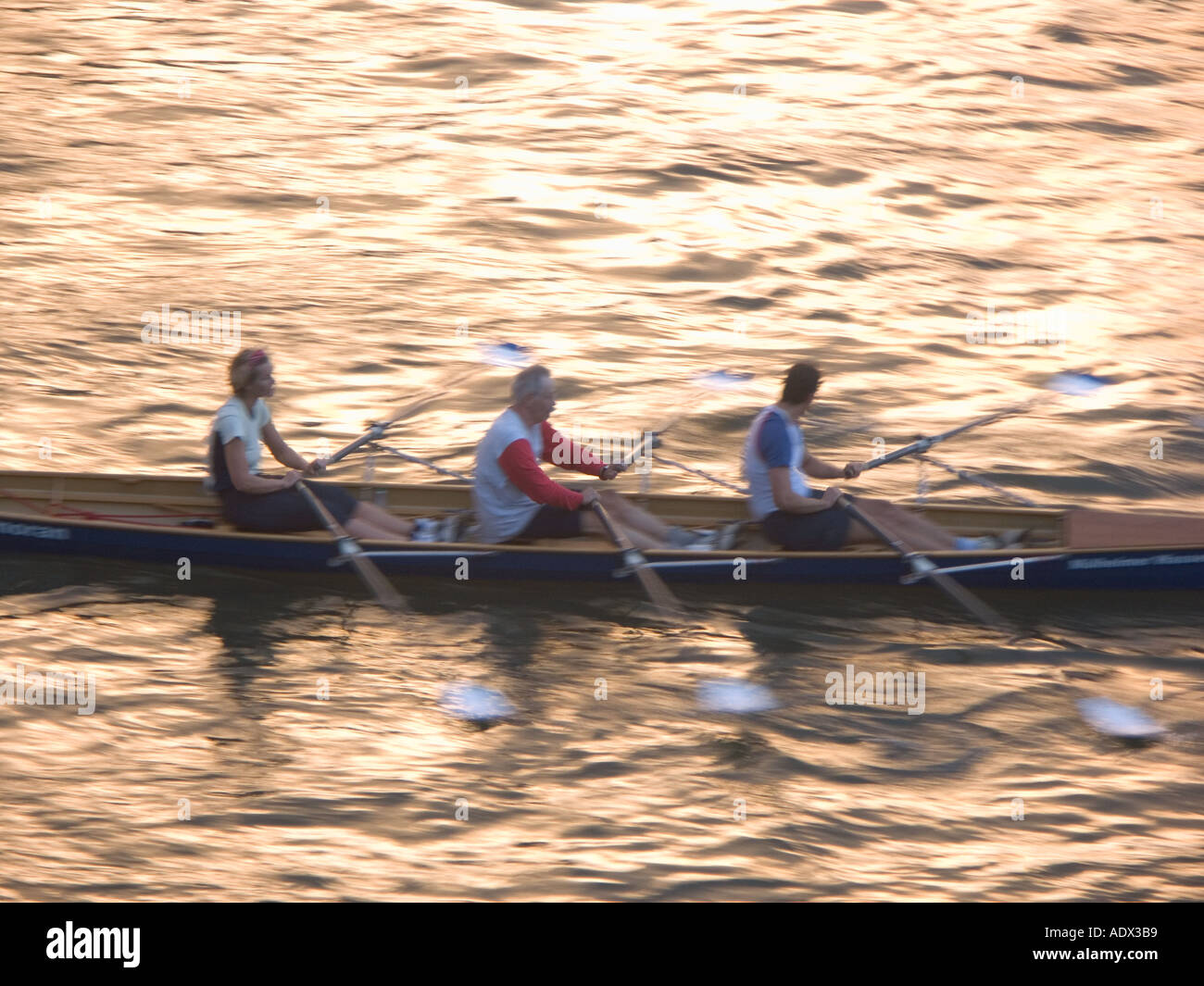 Rowing practice on the Rhine in Cologne Germany Stock Photo - Alamy