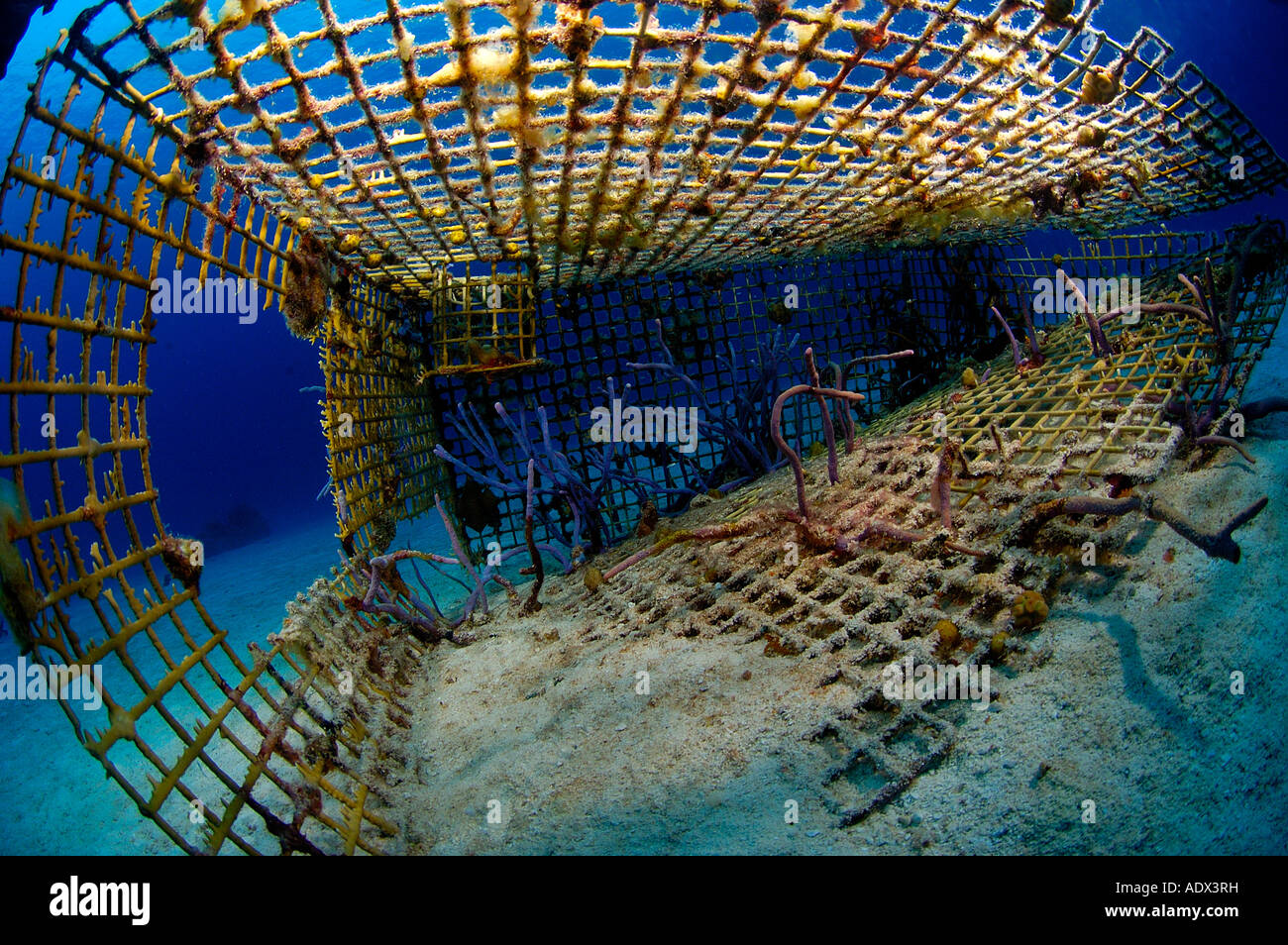 Fish trap hi-res stock photography and images - Alamy