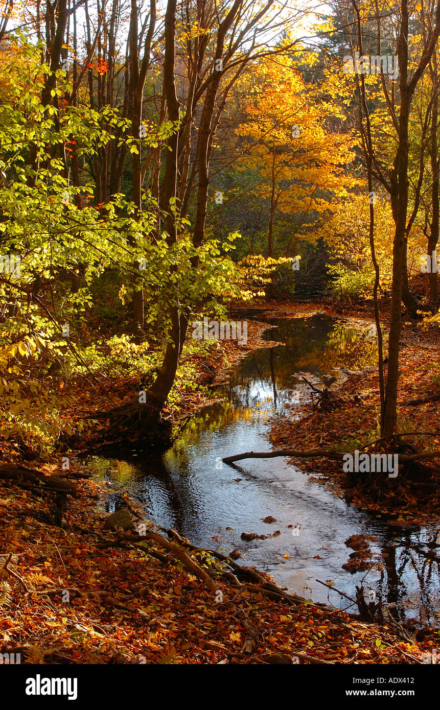 Perfect New England fall scene with changing leaves river and ...