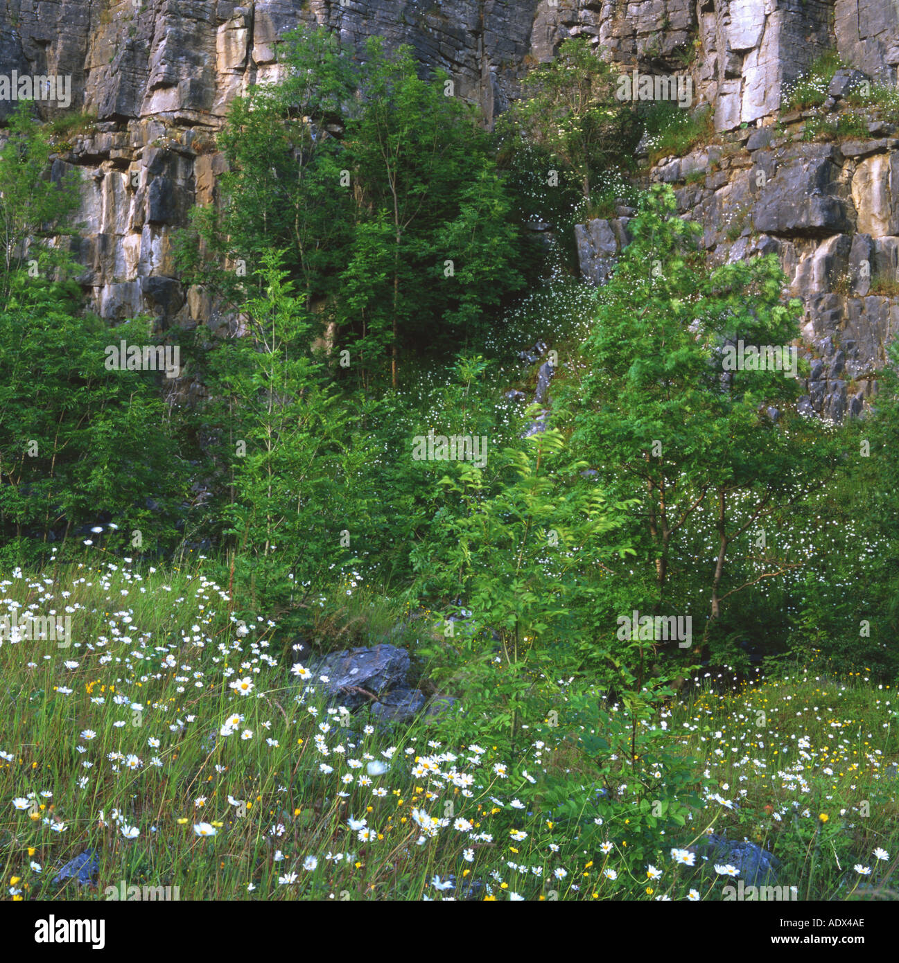 Peak dale quarry hi-res stock photography and images - Alamy