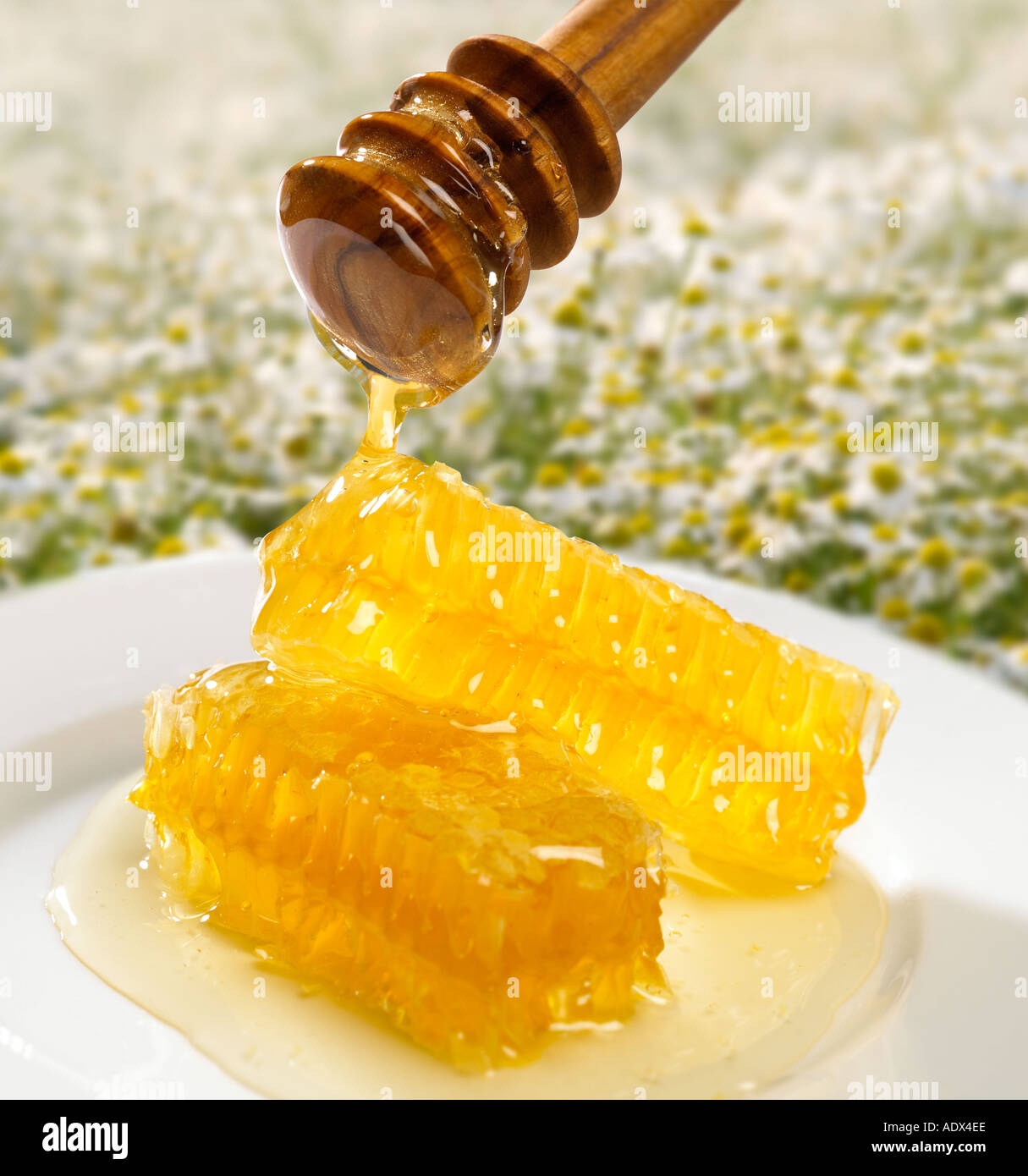How to make honey hi-res stock photography and images - Alamy
