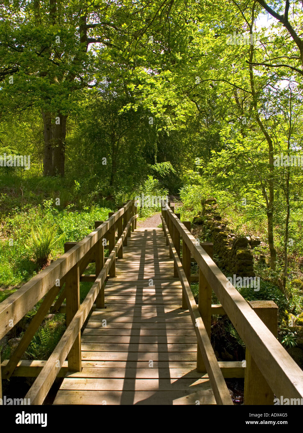 Wooden Footbridge in Spring Stock Photo - Alamy